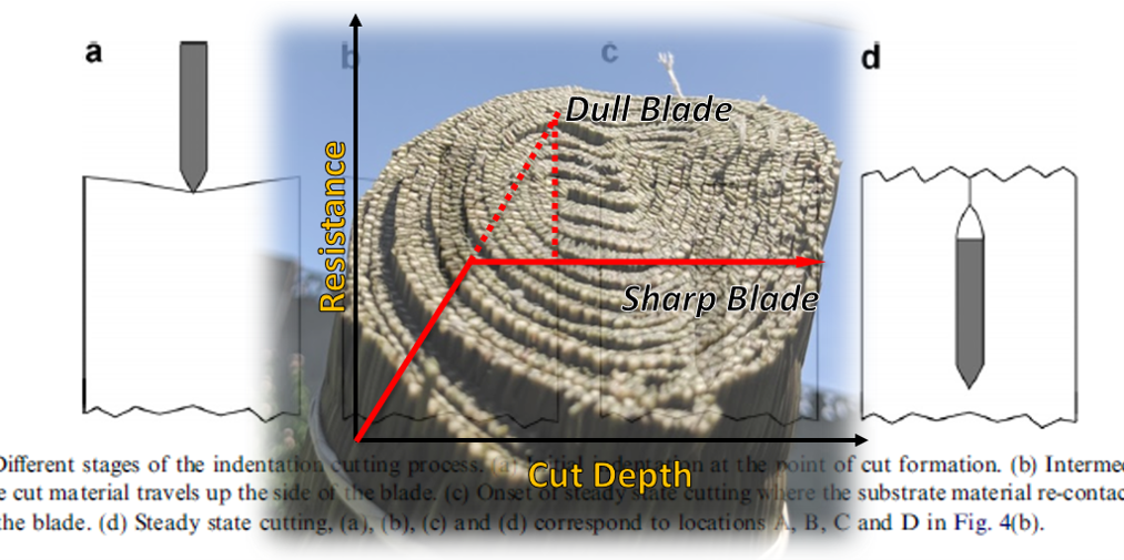Two Phases Of a Cut - Surface vs Steady State - Sword STEM