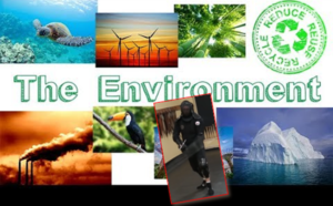 Part 5: Perception-Action Coupling - Introduction To Ecological ...